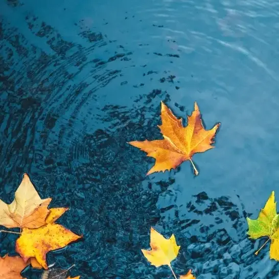 Solve a Math Problem - 1 :: Matawa Learning